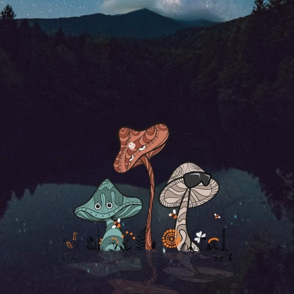 The Top Spot for Shrooms Online in Canada - Three Amigos Psilocybin